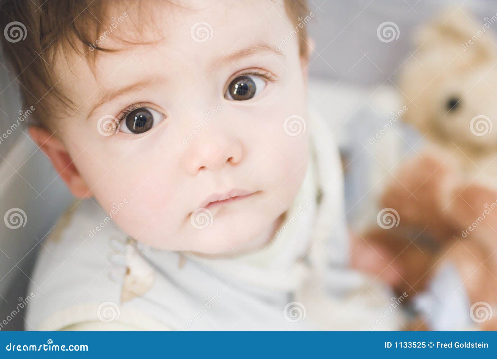 Baby portrait stock image. Image of isolated, child, little - 1133525