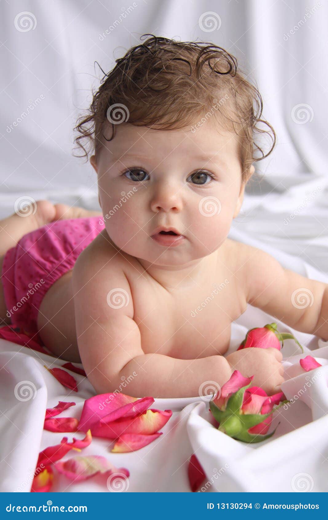Baby Portrait with Rose Petals Stock Photo - Image of hair, roses: 13130294