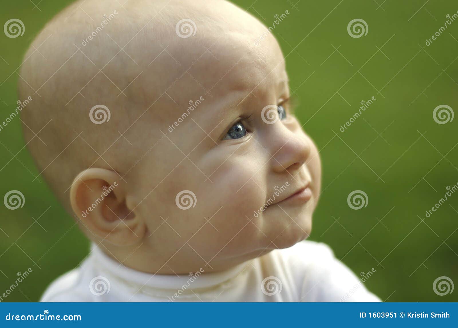 Baby Profile Picture. Image: 1603951