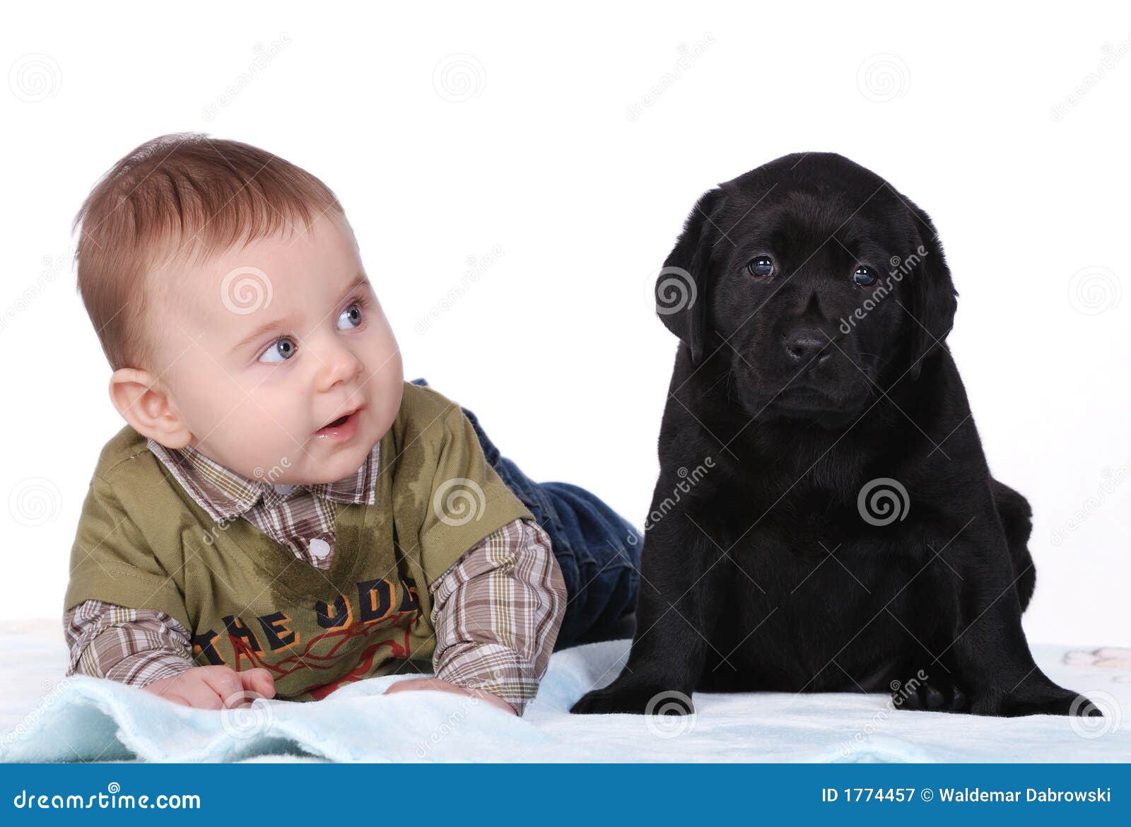 Baby and puppy stock image. Image of enjoy, gift, labrador - 1774457