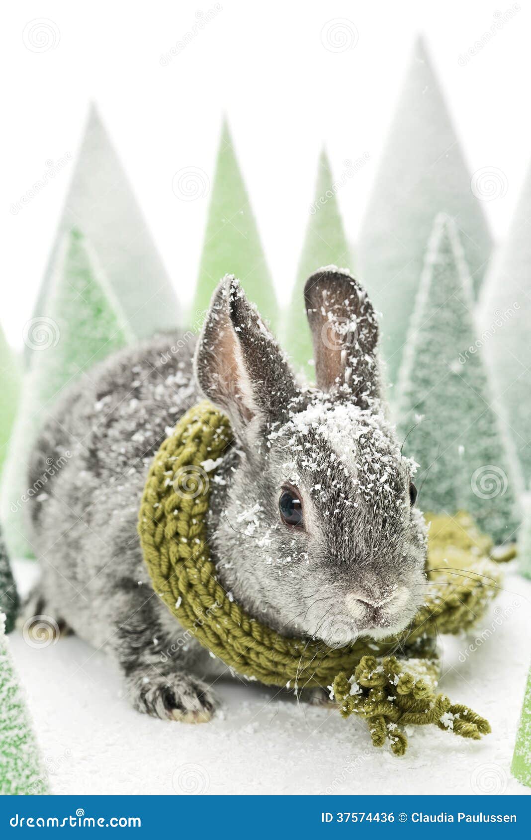 Baby rabbit with snow stock photo. Image of huddle, cold - 37574436
