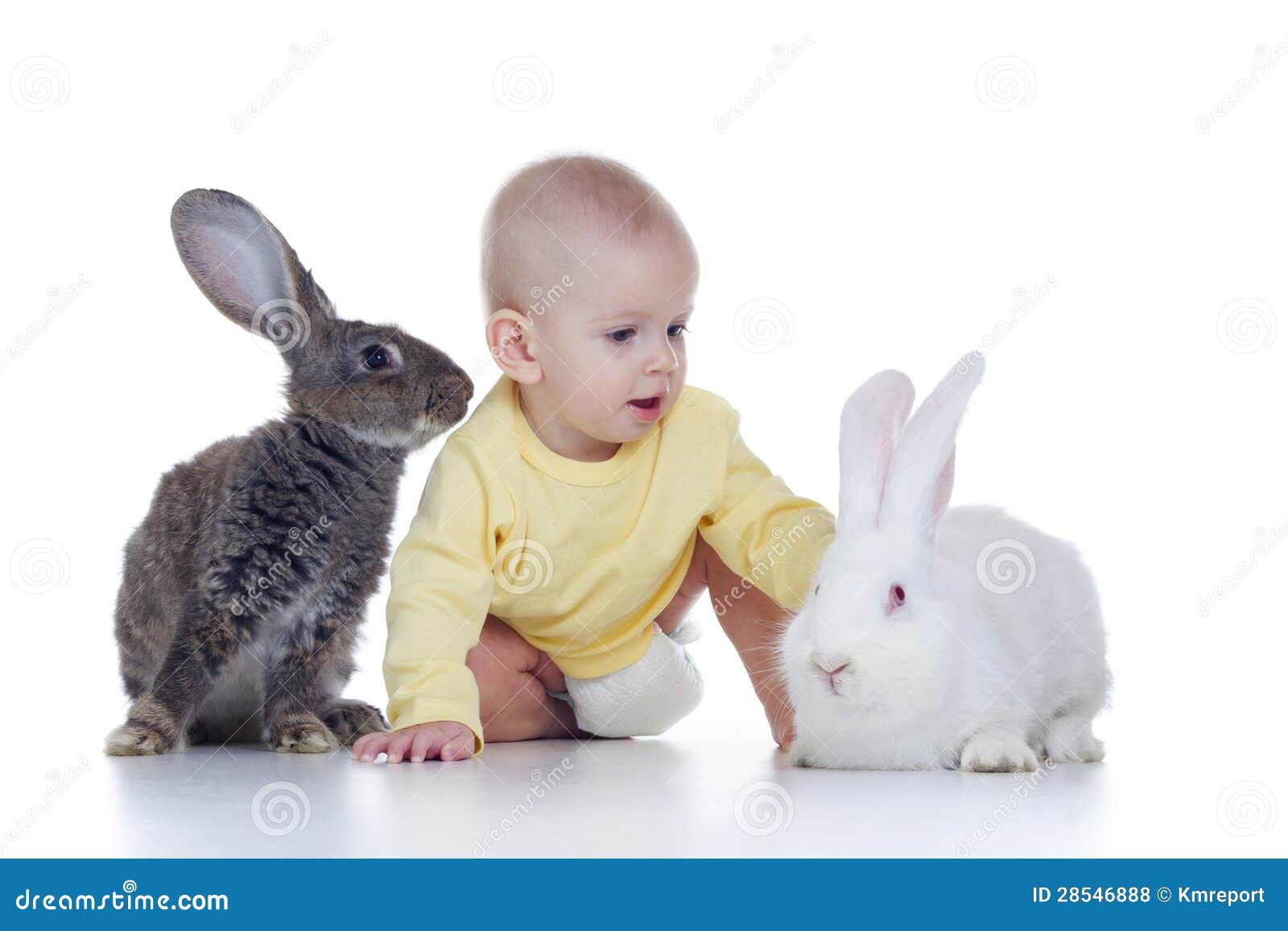 Baby and rabbits stock photo. Image of childhood, pets - 28546888