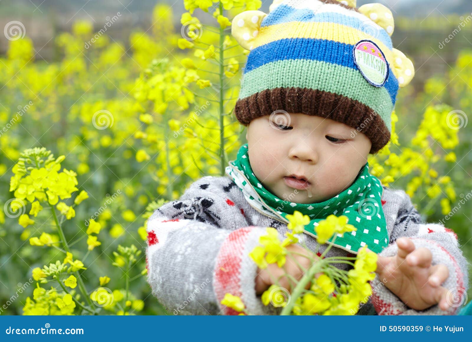 Baby in the field stock image. Image of sunshine, spring - 50590359