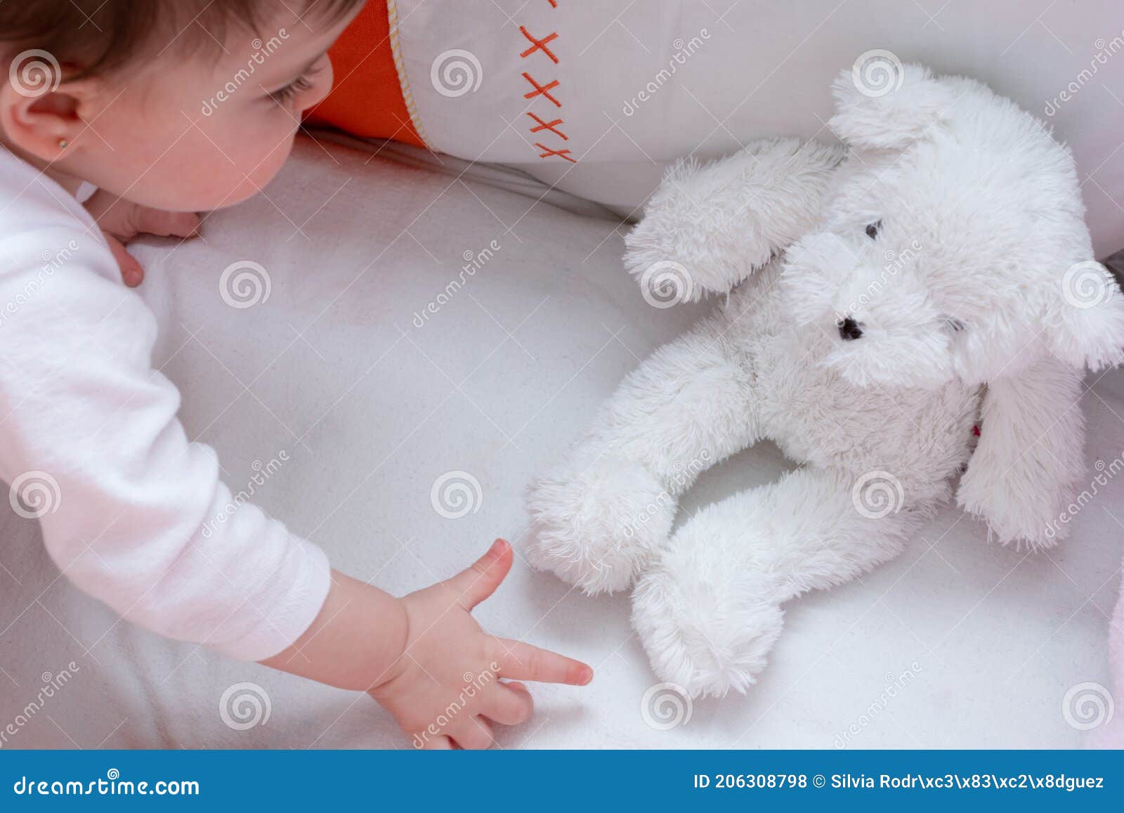 Baby Reaches Out for a Teddy Bear Stock Photo - Image of cradle ...