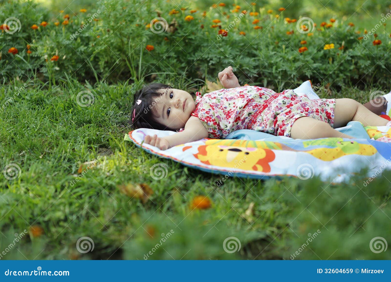 Baby Relax on Grass with Toys Stock Image - Image of portrait, green ...