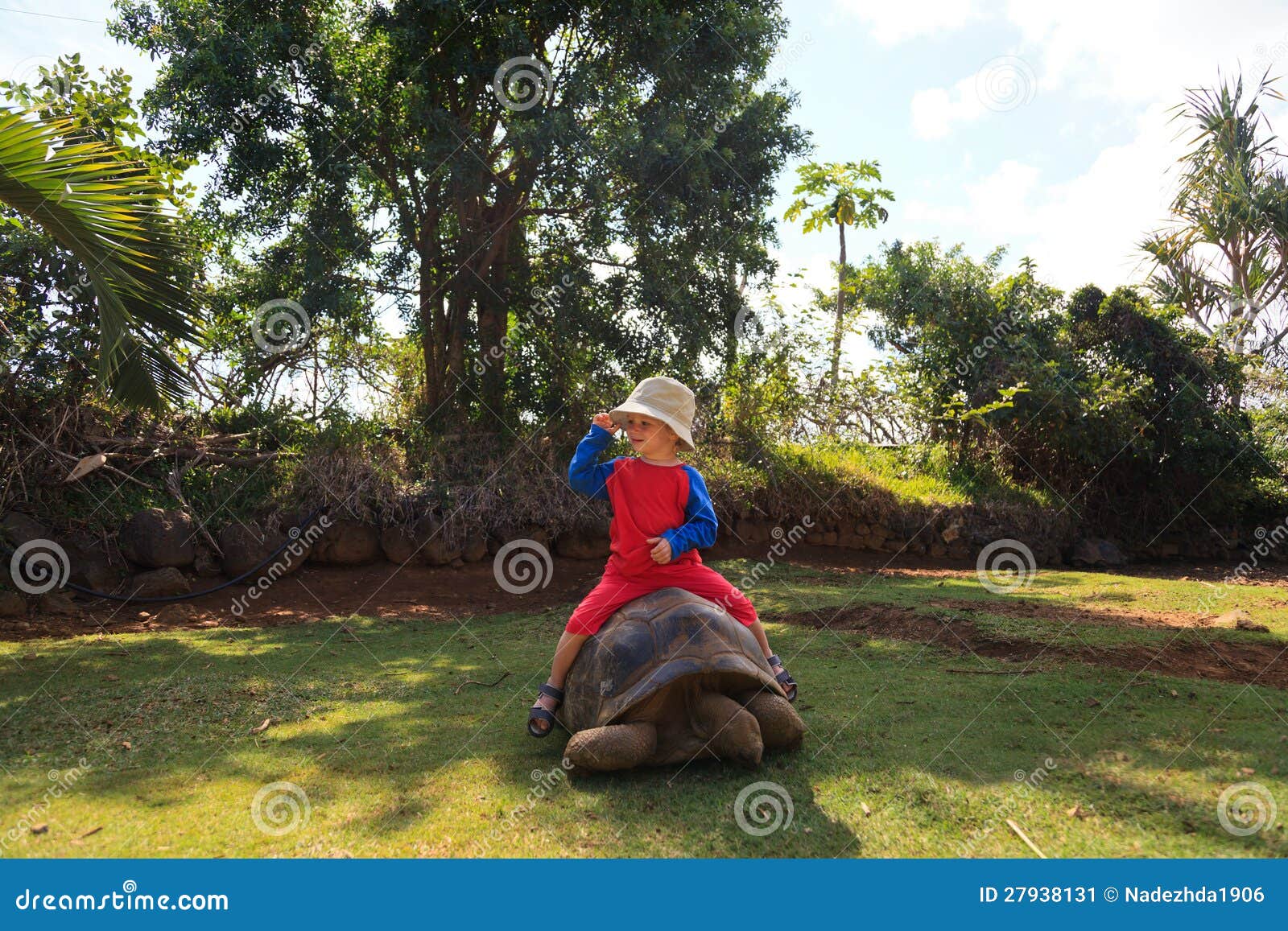 Baby Riding Giant Turtle Stock Image - Image: 27938131 Baby Riding Giant Turtle Stock Image - Image: 27938131