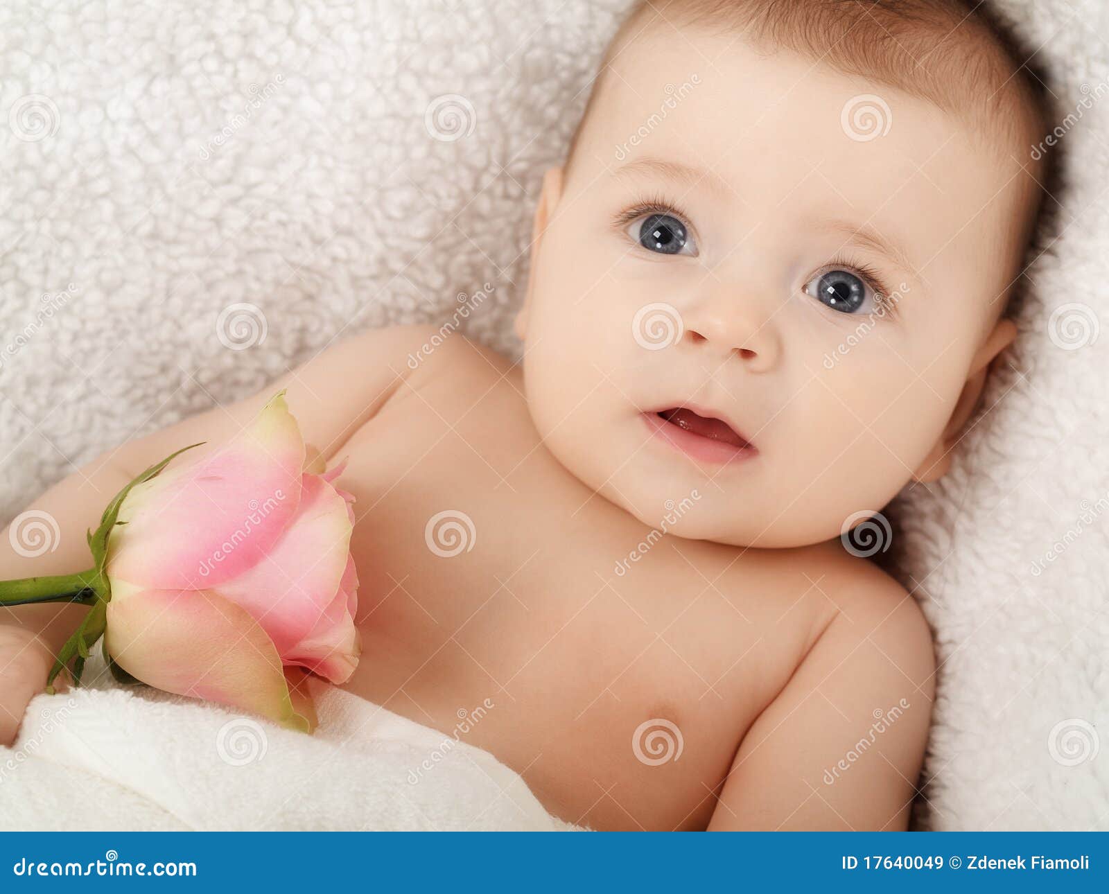 Baby with rose stock image. Image of rose, home, toddler - 17640049