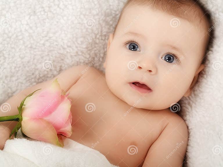 Baby with rose stock image. Image of rose, home, toddler - 17640049