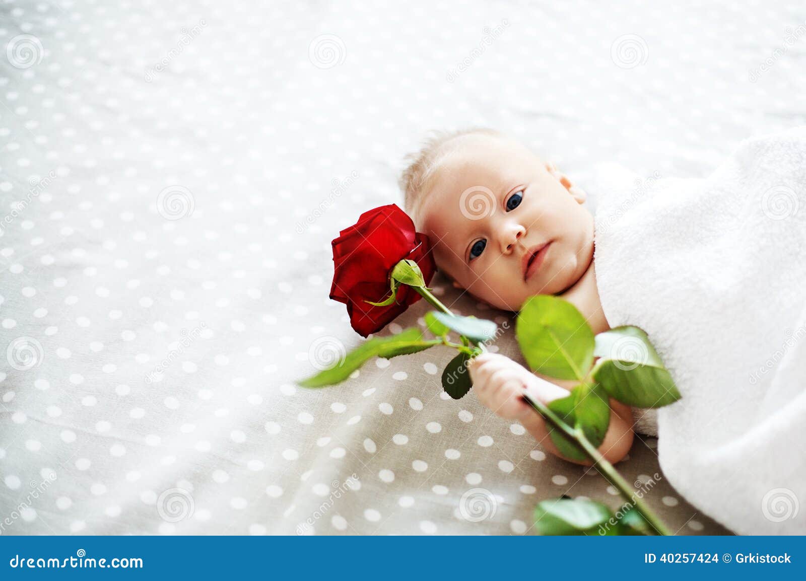 Baby and rose stock photo. Image of child, portrait, lying - 40257424