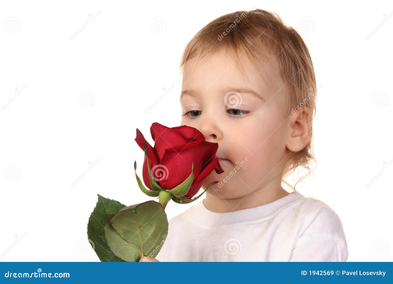 Baby with rose2 stock image. Image of petal, hair, head - 1942569