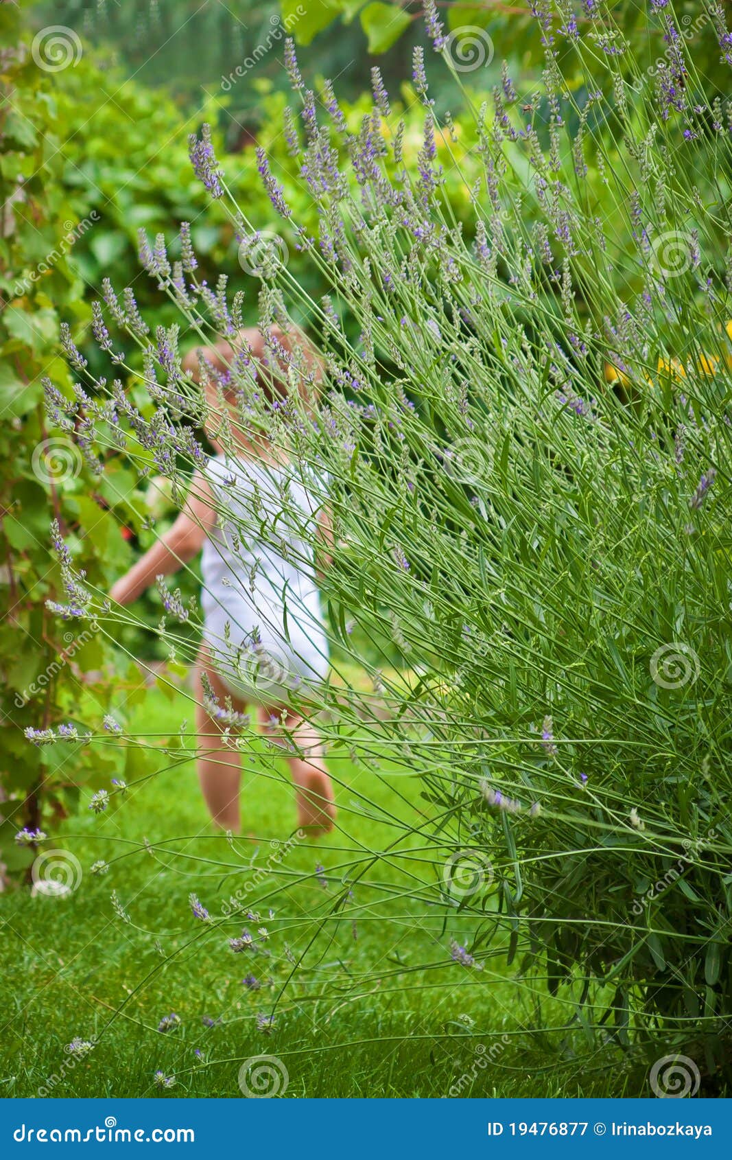 Baby running in the garden stock image. Image of young - 19476877