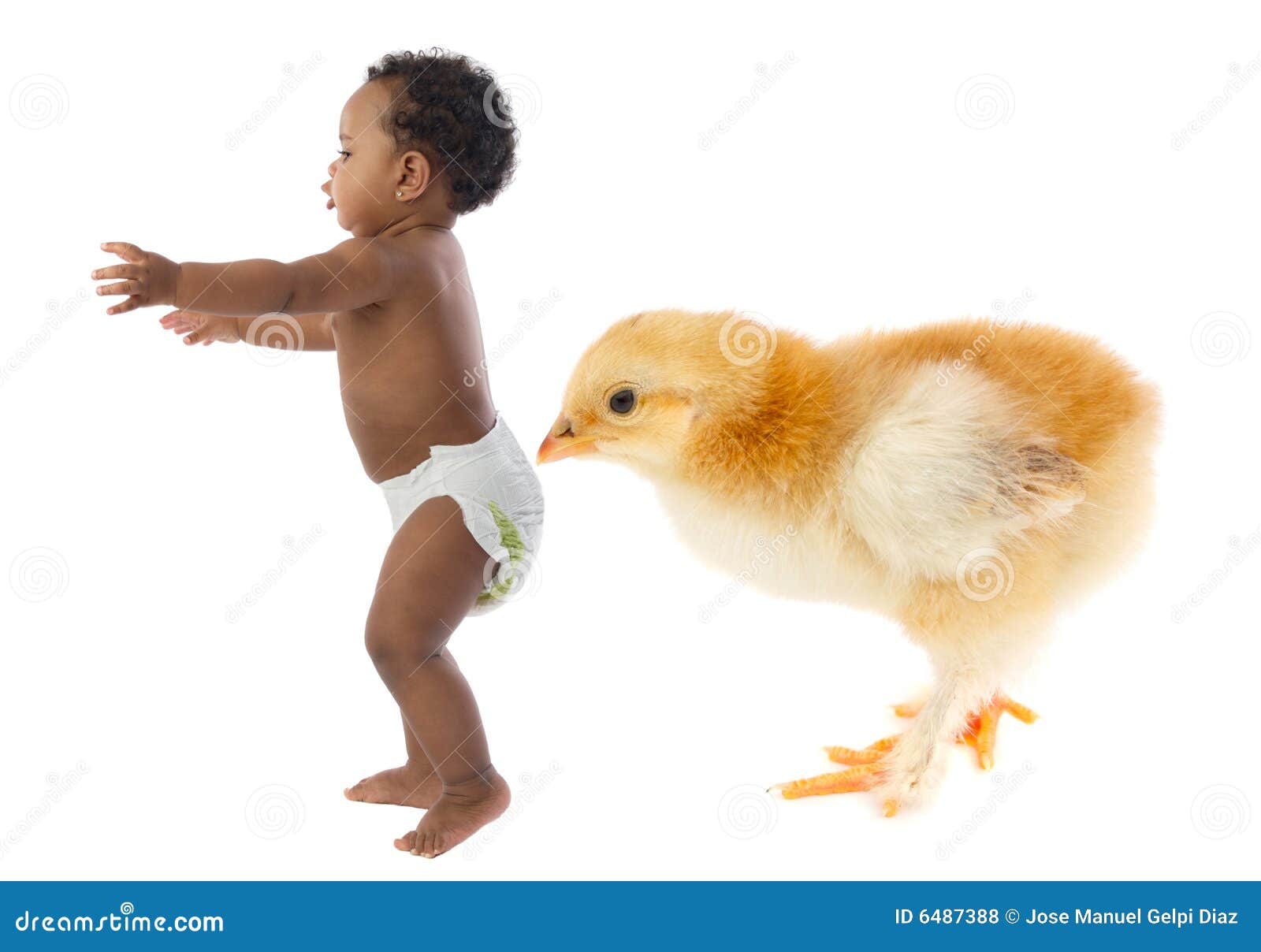 119 Baby Chicken Running Photos - Free & Royalty-Free Stock Photos from ...