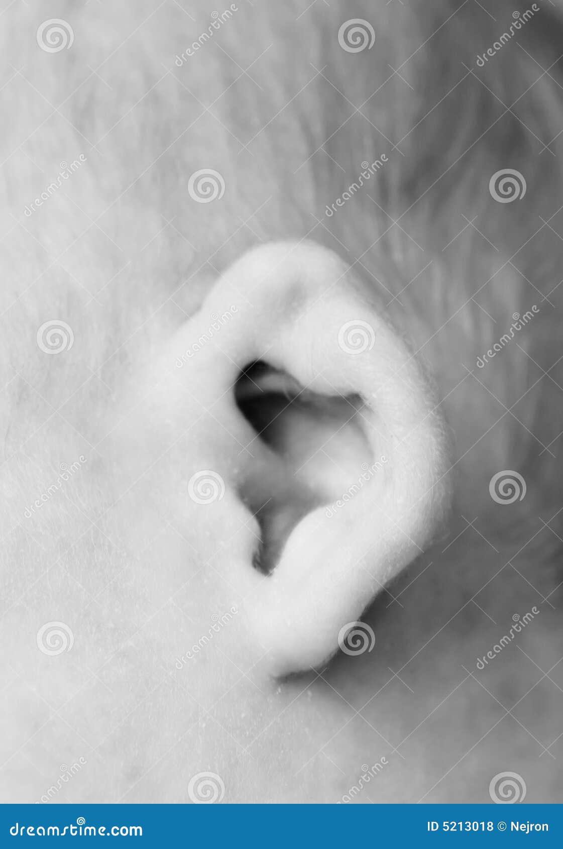 Baby s ear stock photo. Image of people, human, child - 5213018