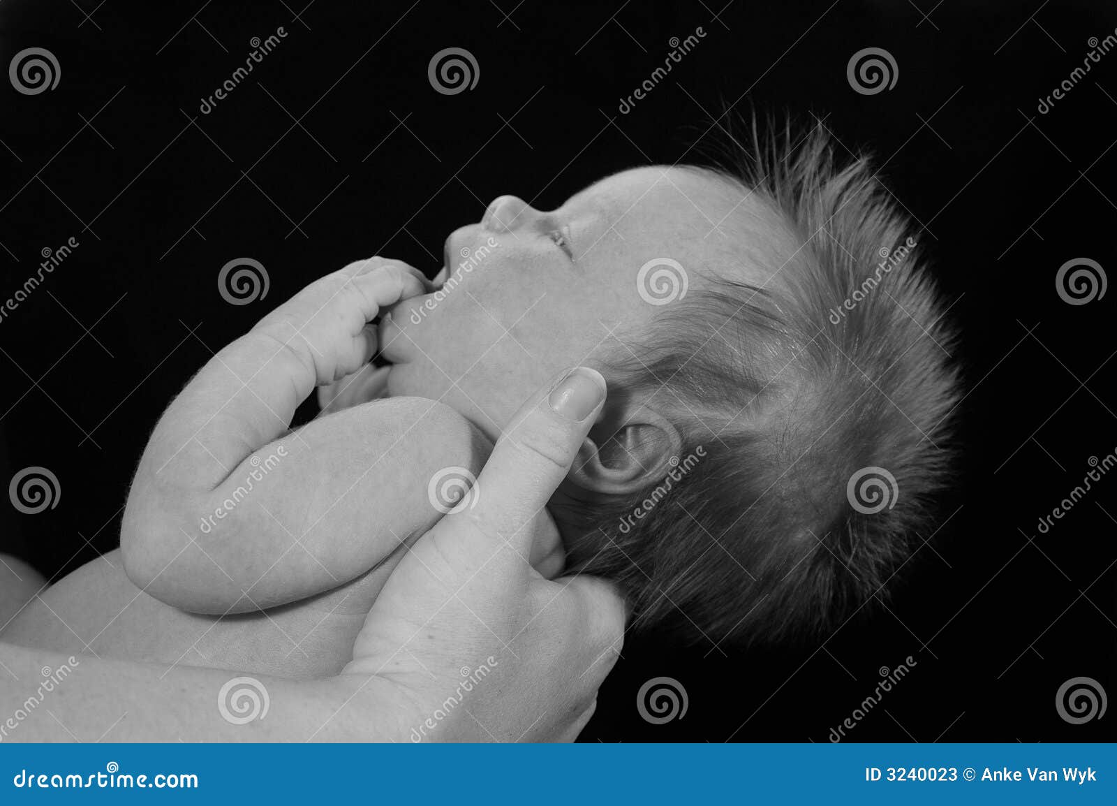 Baby s first cry stock image. Image of holding, adorable - 3240023