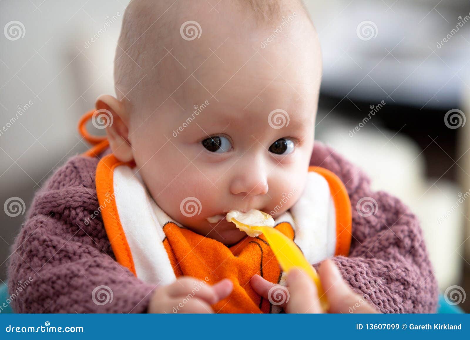 Baby s first meals. stock image. Image of baby, meal - 13607099