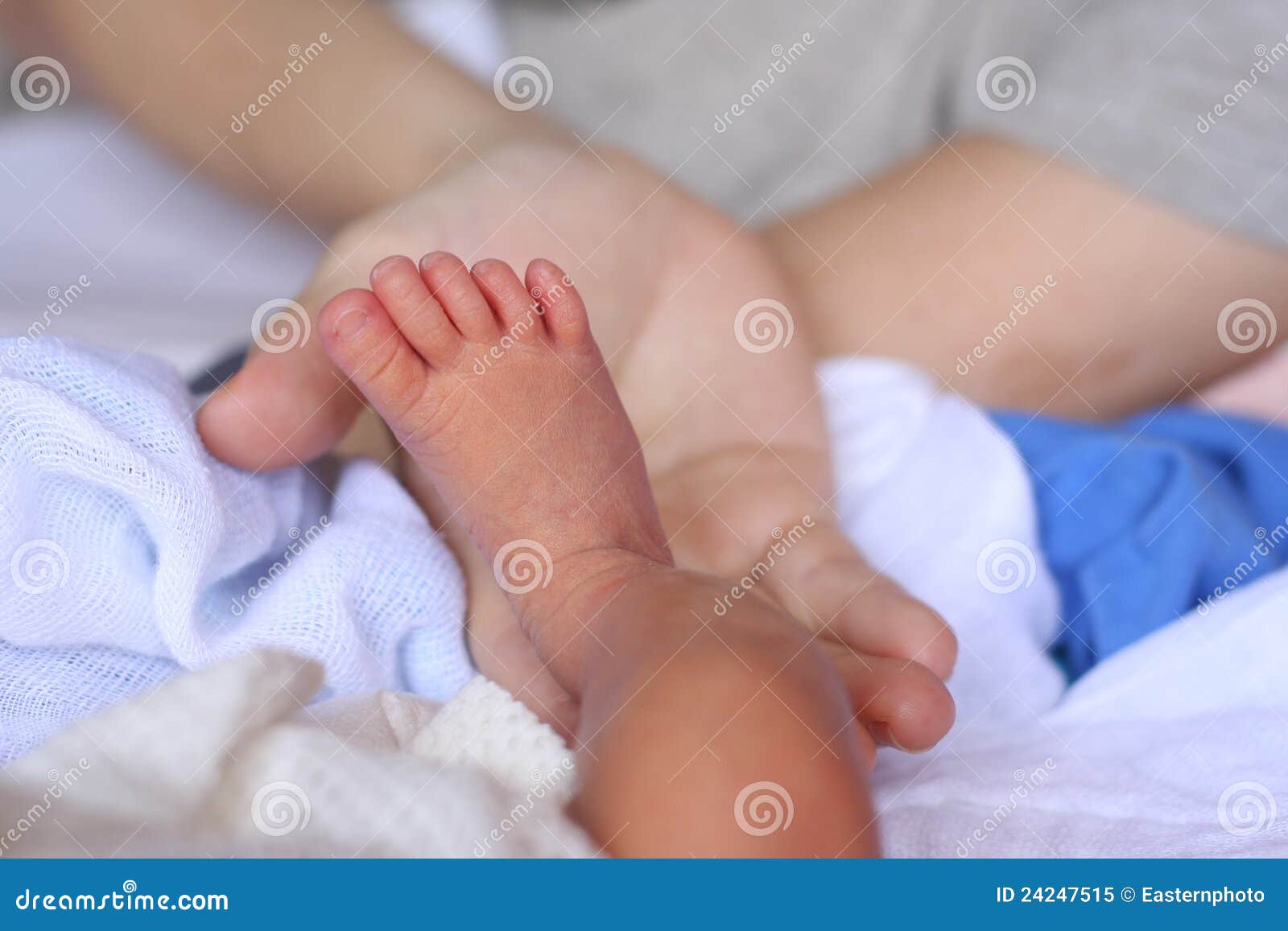 Baby s foot stock image. Image of child, parent, palm - 24247515