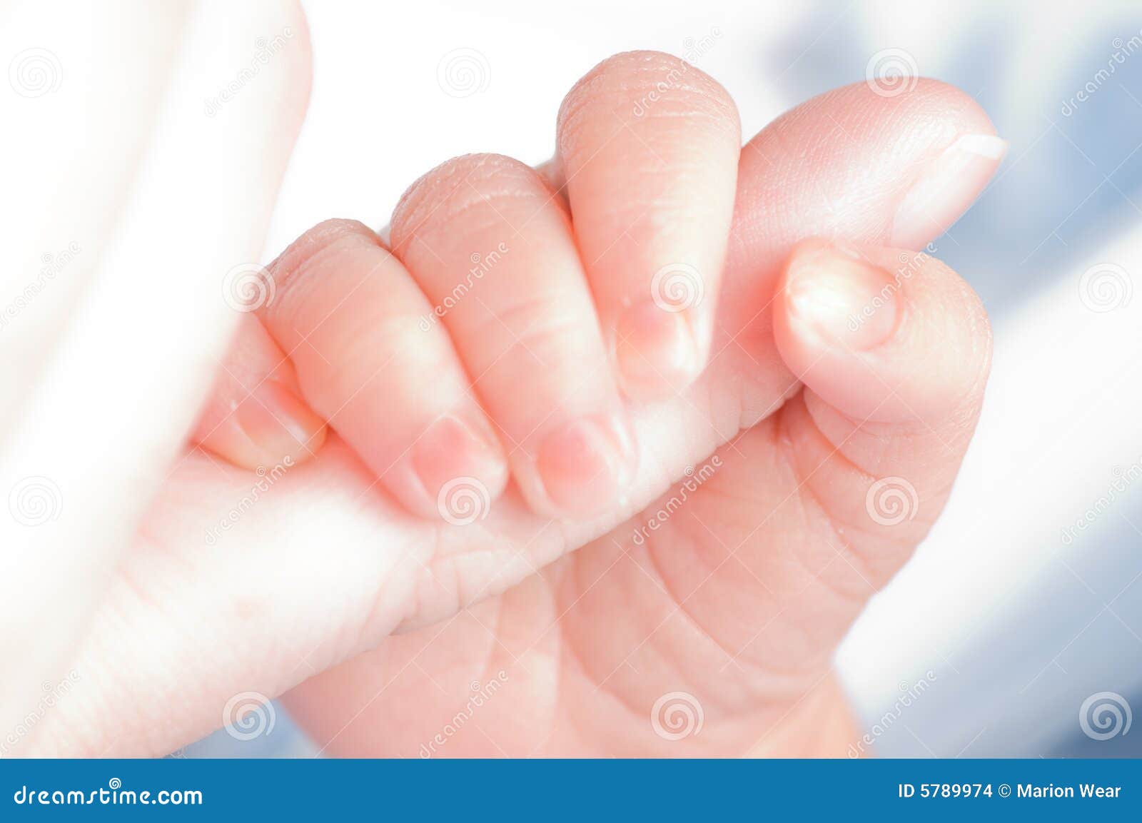 Baby s grasp stock photo. Image of mother, squeeze, blue - 5789974