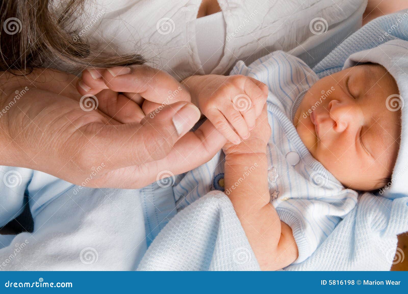 Baby s grasping hand stock photo. Image of reflex, little - 5816198