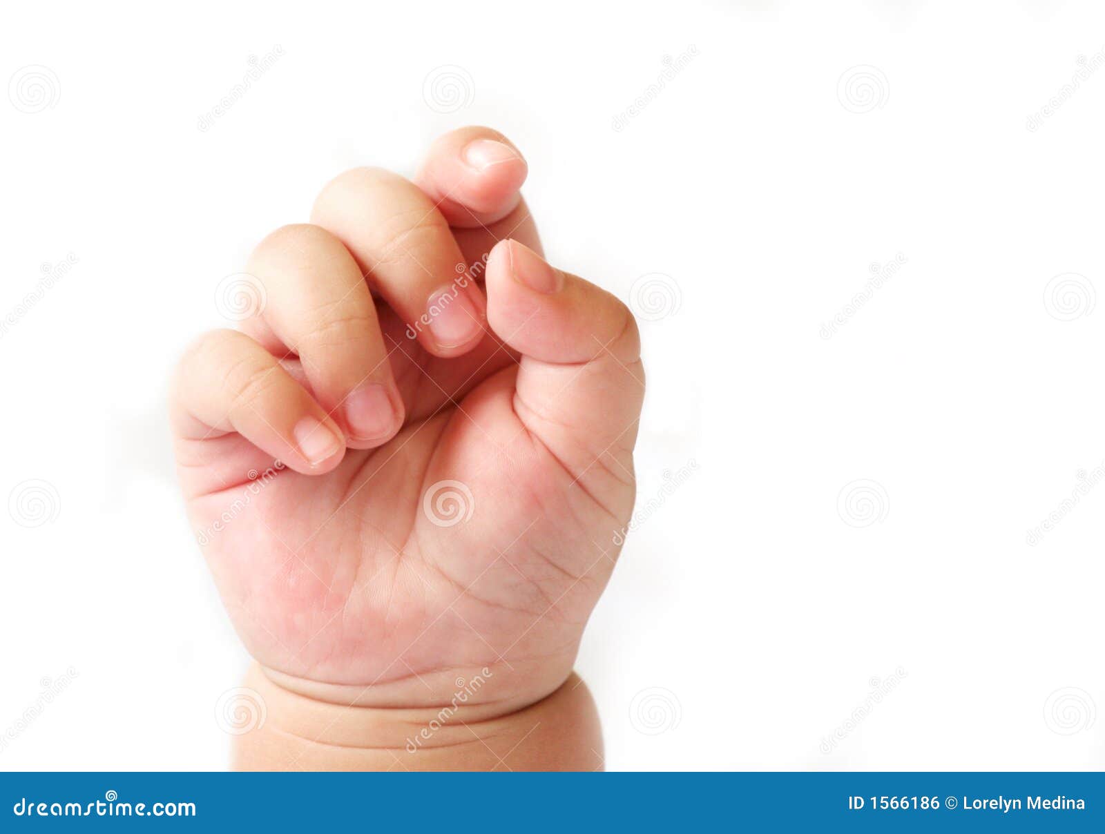 Baby s Hand stock photo. Image of month, fingers, male - 1566186