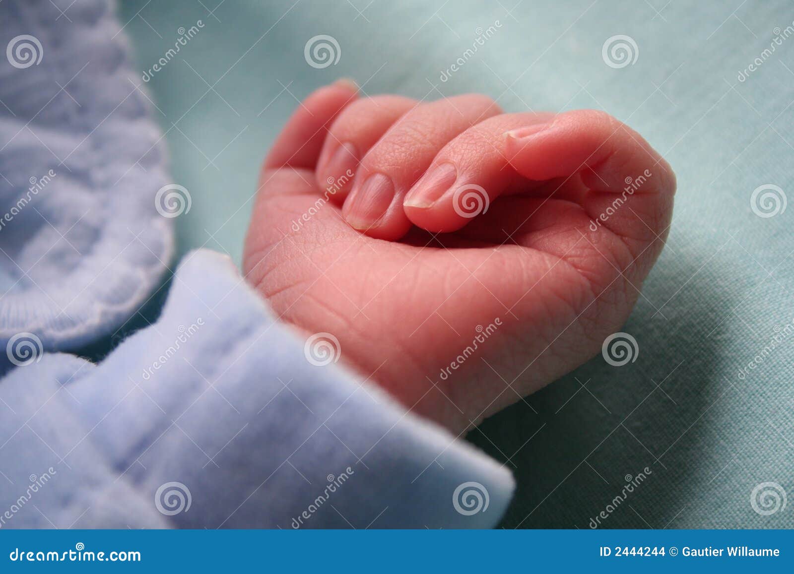 Baby s hand stock photo. Image of childhood, hands, beginning - 2444244