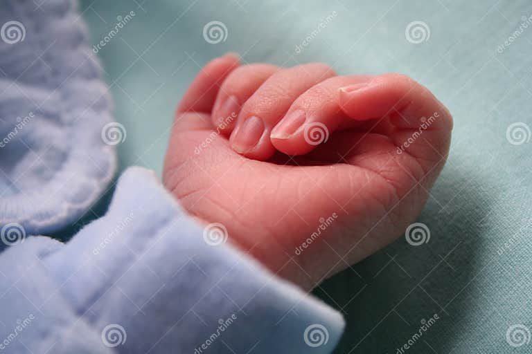 Baby s hand stock photo. Image of childhood, hands, beginning - 2444244
