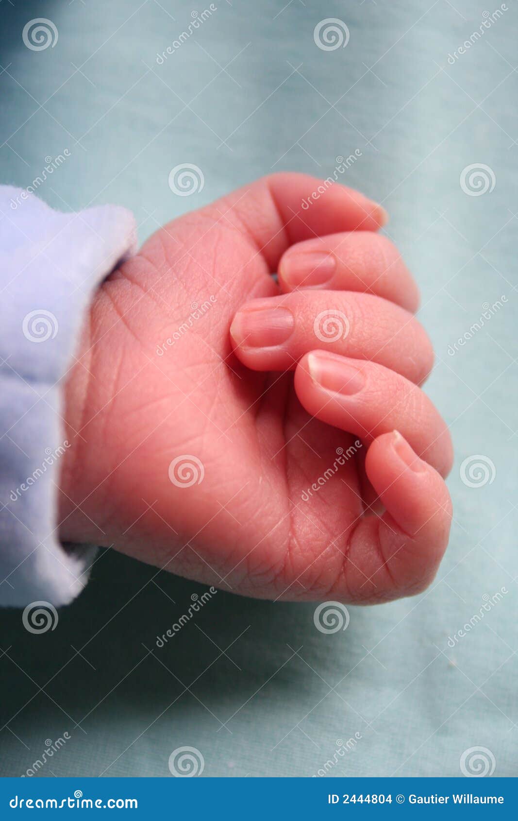 Baby s hand stock photo. Image of indoors, conceptual - 2444804