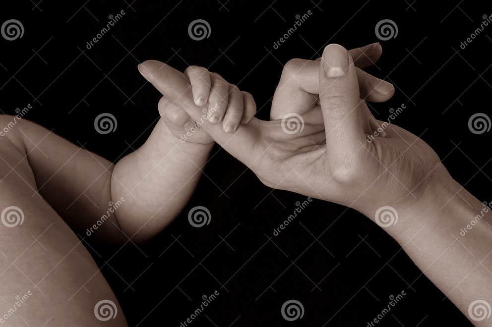 Baby`s hand stock photo. Image of careful, loving, children - 333240