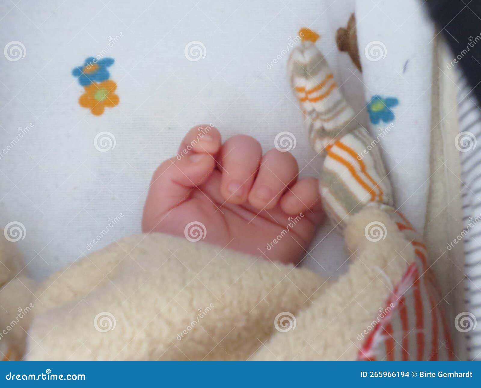 A baby s hand stock photo. Image of development, hand - 265966194