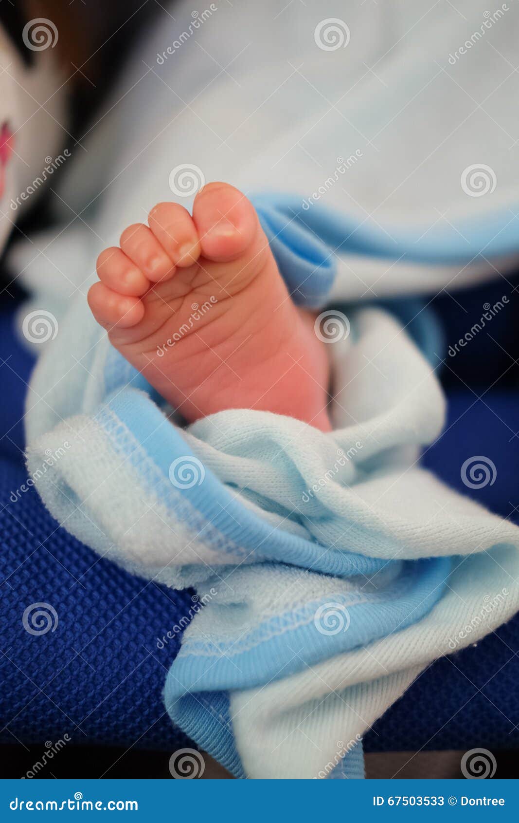Baby s legs stock image. Image of care, infant, tiny - 67503533