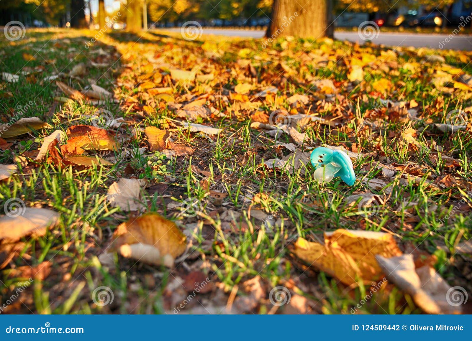 Lost baby`s pacifier stock photo. Image of grass, lost - 124509442