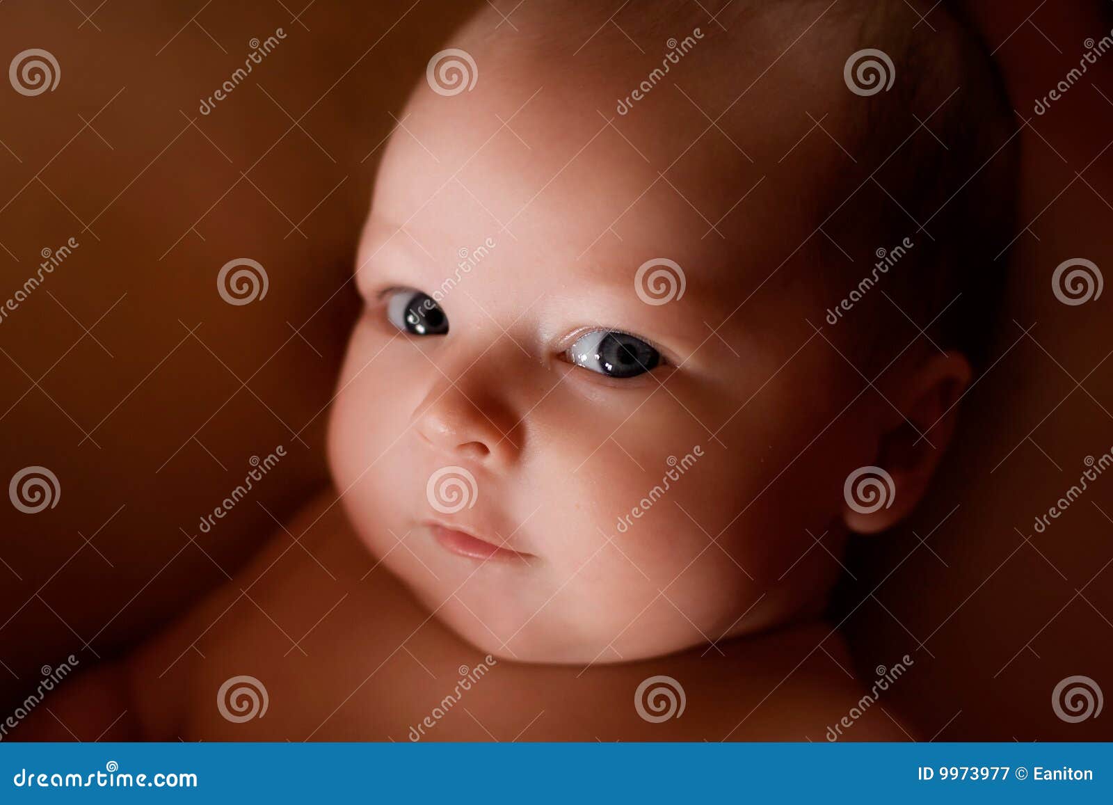 Baby s portrait stock image. Image of little, face, child - 9973977