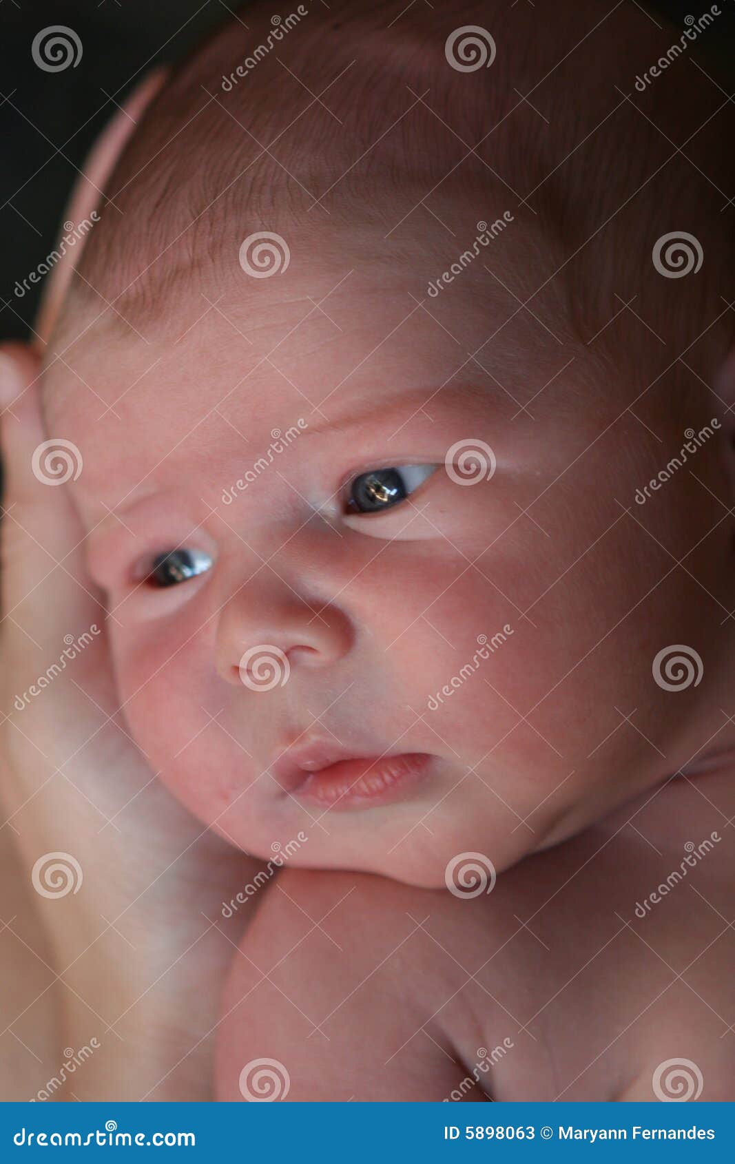 Baby s profile stock image. Image of reflective, peaceful - 5898063