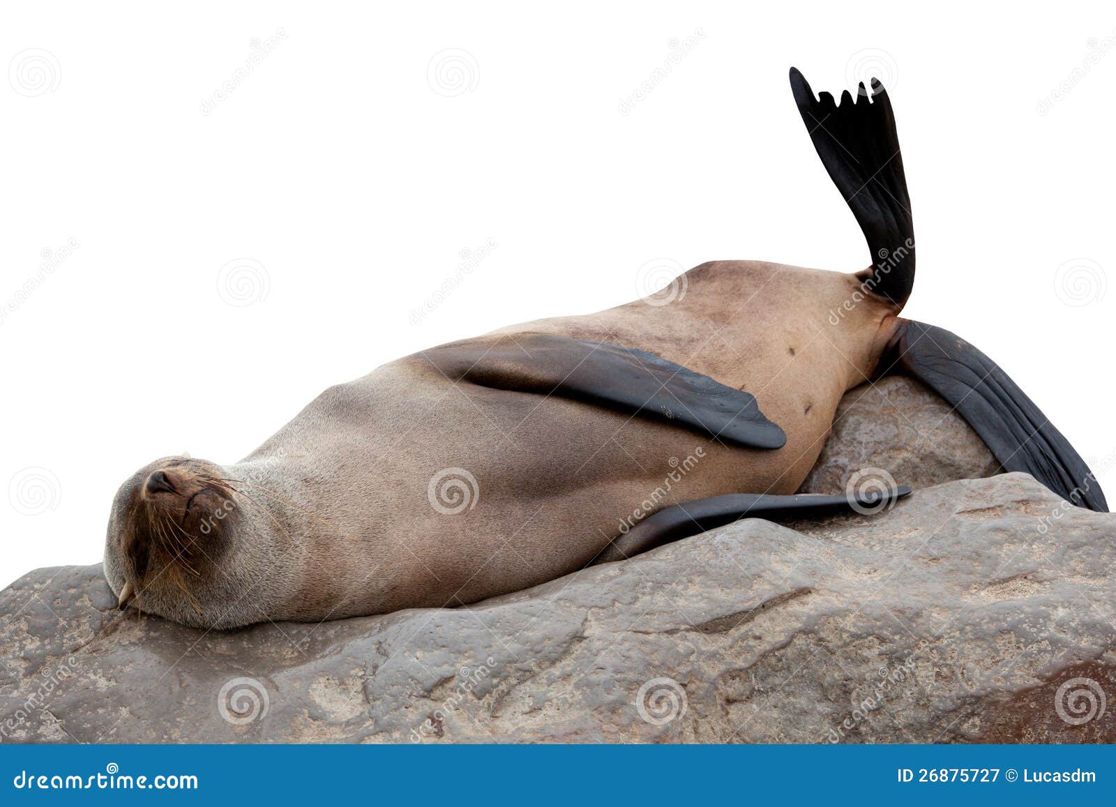 Seal Rock & Pacific Beach In San Francisco Royalty-Free Stock ...