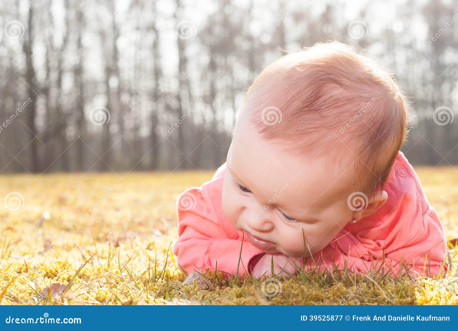 Baby Searching for Blades of Grass Stock Image - Image of adorable ...