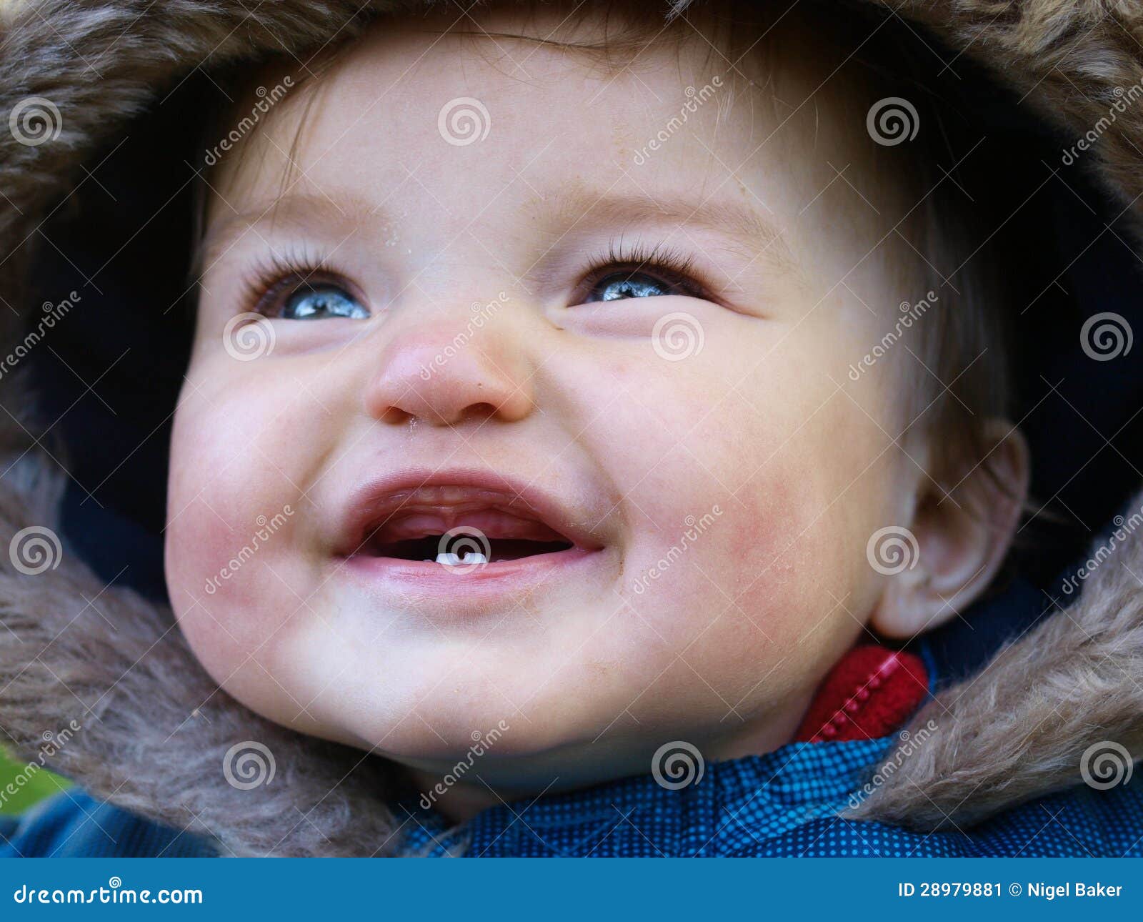 Baby Showing Front Teeth stock image. Image of beautiful - 28979881