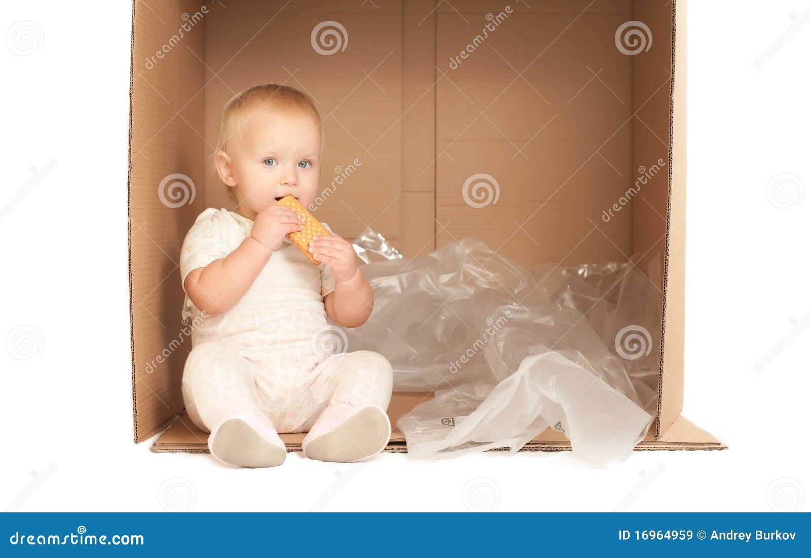Baby Sit in Box and Eat Cookie Stock Image - Image of breakfast, cute ...