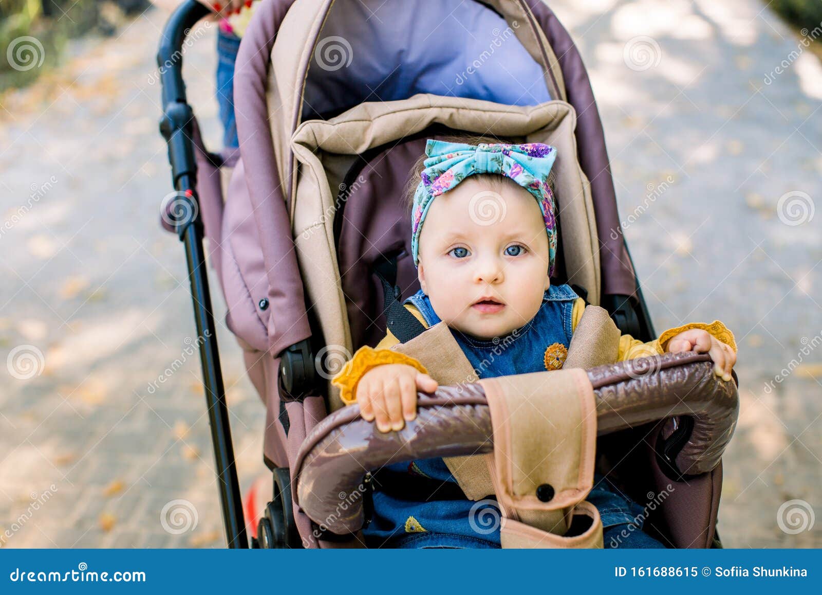 Baby is Sitting on Carriage Alone. Baby in Sitting Stroller on Nature ...