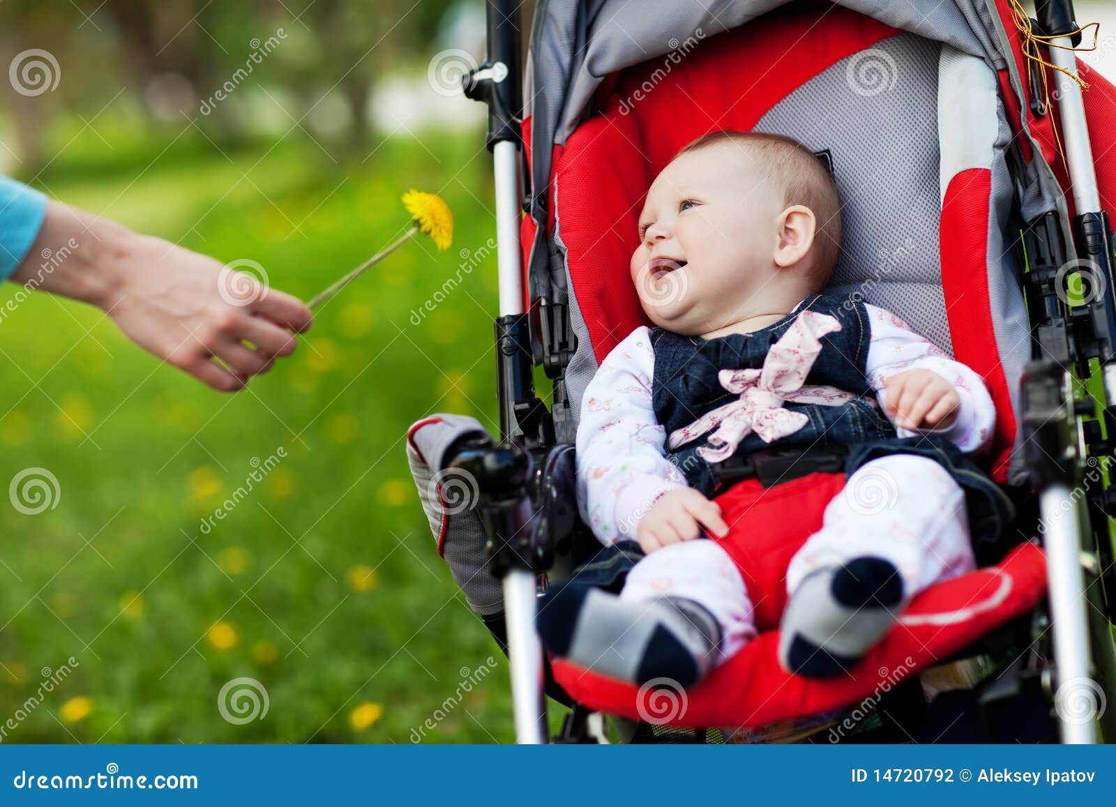 Baby in sitting stroller stock photo. Image of hands - 14720792