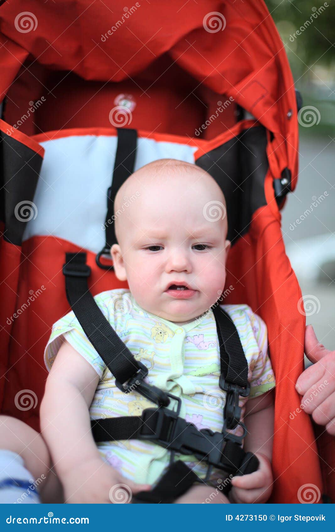 Baby in sitting stroller stock photo. Image of care, necessity - 4273150