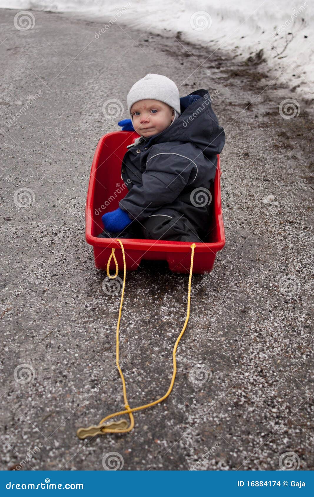 Baby in sled stock photo. Image of longing, winter, longs - 16884174