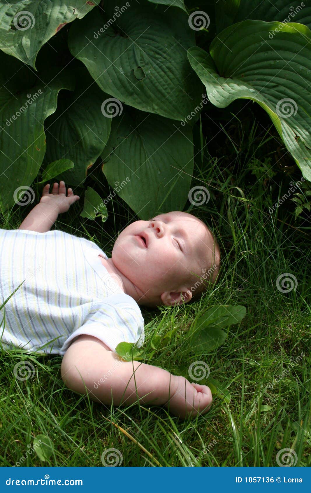Baby sleeping stock photo. Image of nature, beautiful - 1057136