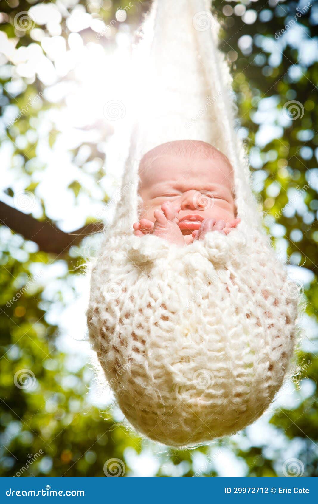 Baby sleeping stock photo. Image of cute, nature, newborn - 29972712