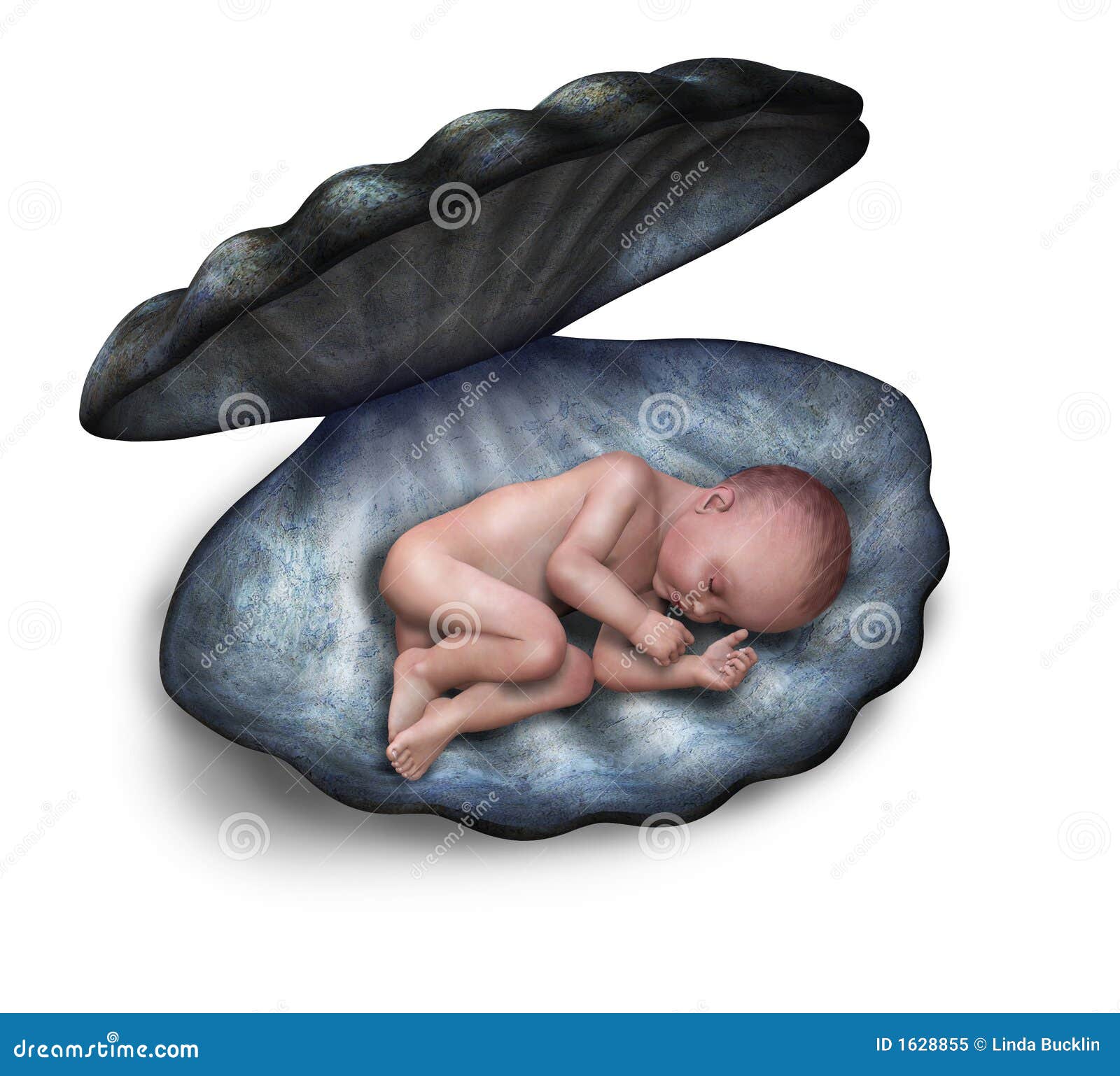 Baby Sleeping in a Seashell Stock Illustration - Illustration of cute ...