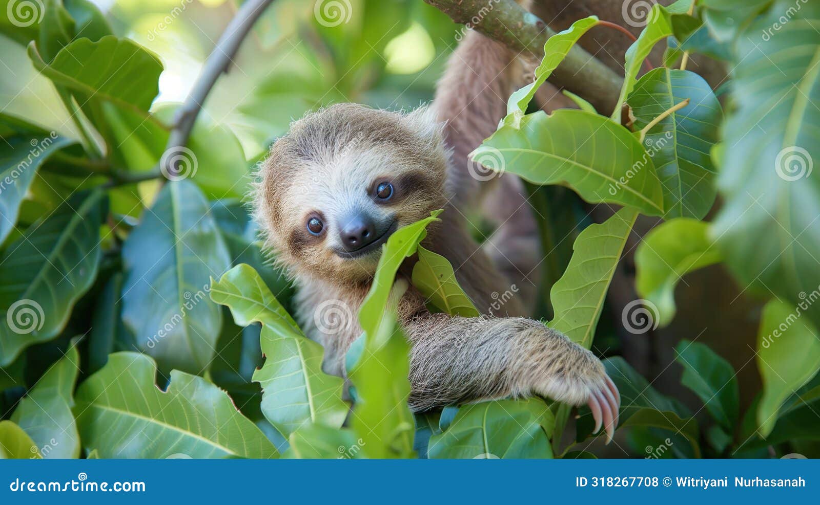 Baby Sloth Hanging on the Tree. Generative Ai Stock Illustration ...
