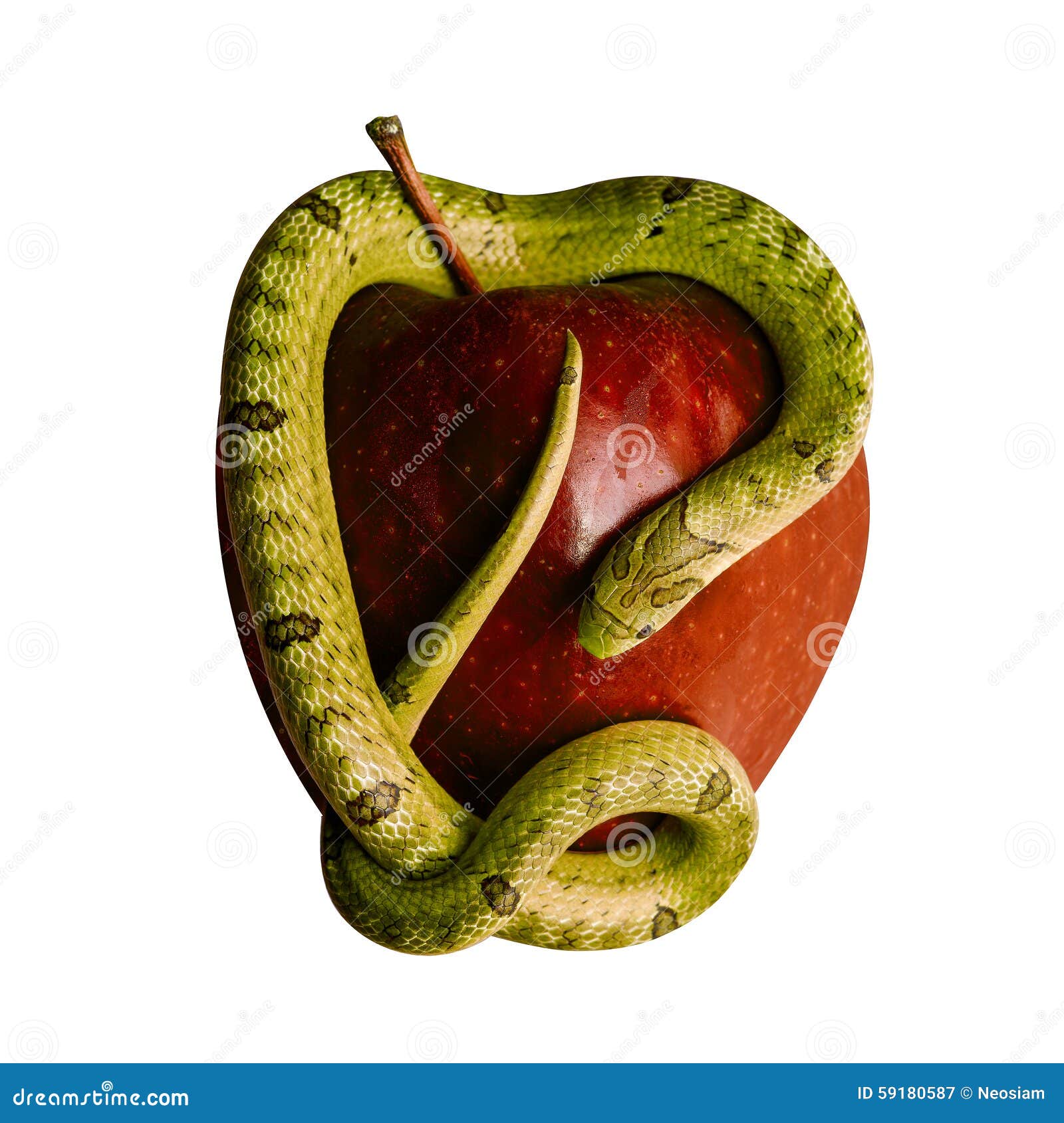 Baby snake on apple stock image. Image of drawing, prey - 59180587
