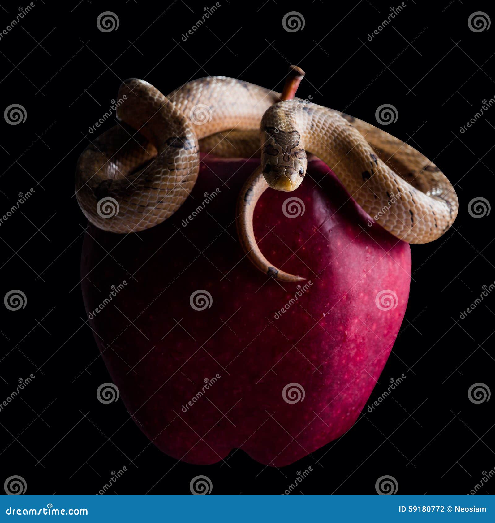 Sin Snake Apple Stock Photography | CartoonDealer.com #1833638