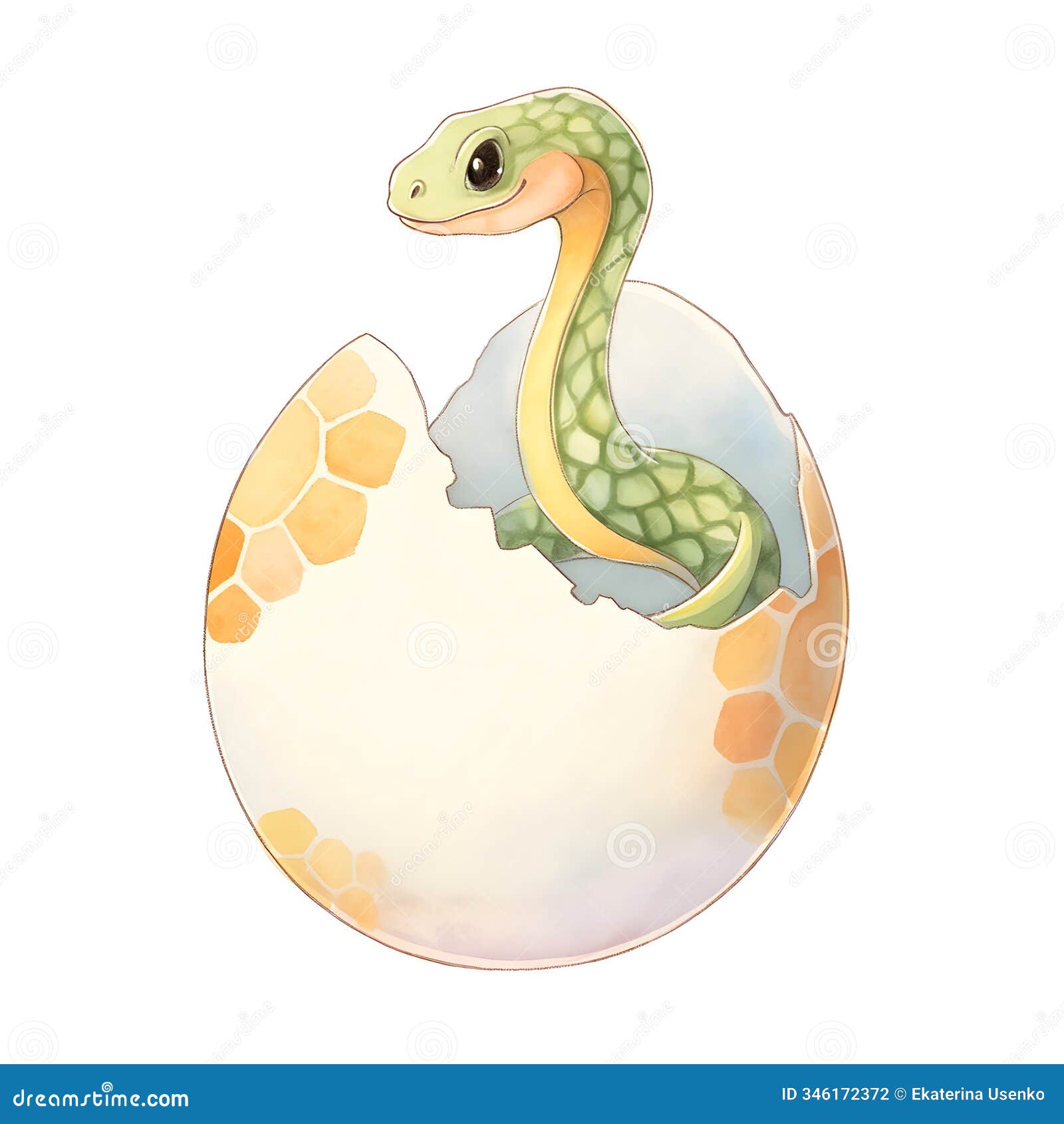 Baby Snake Emerging from Honeycomb Eggshell Stock Illustration ...