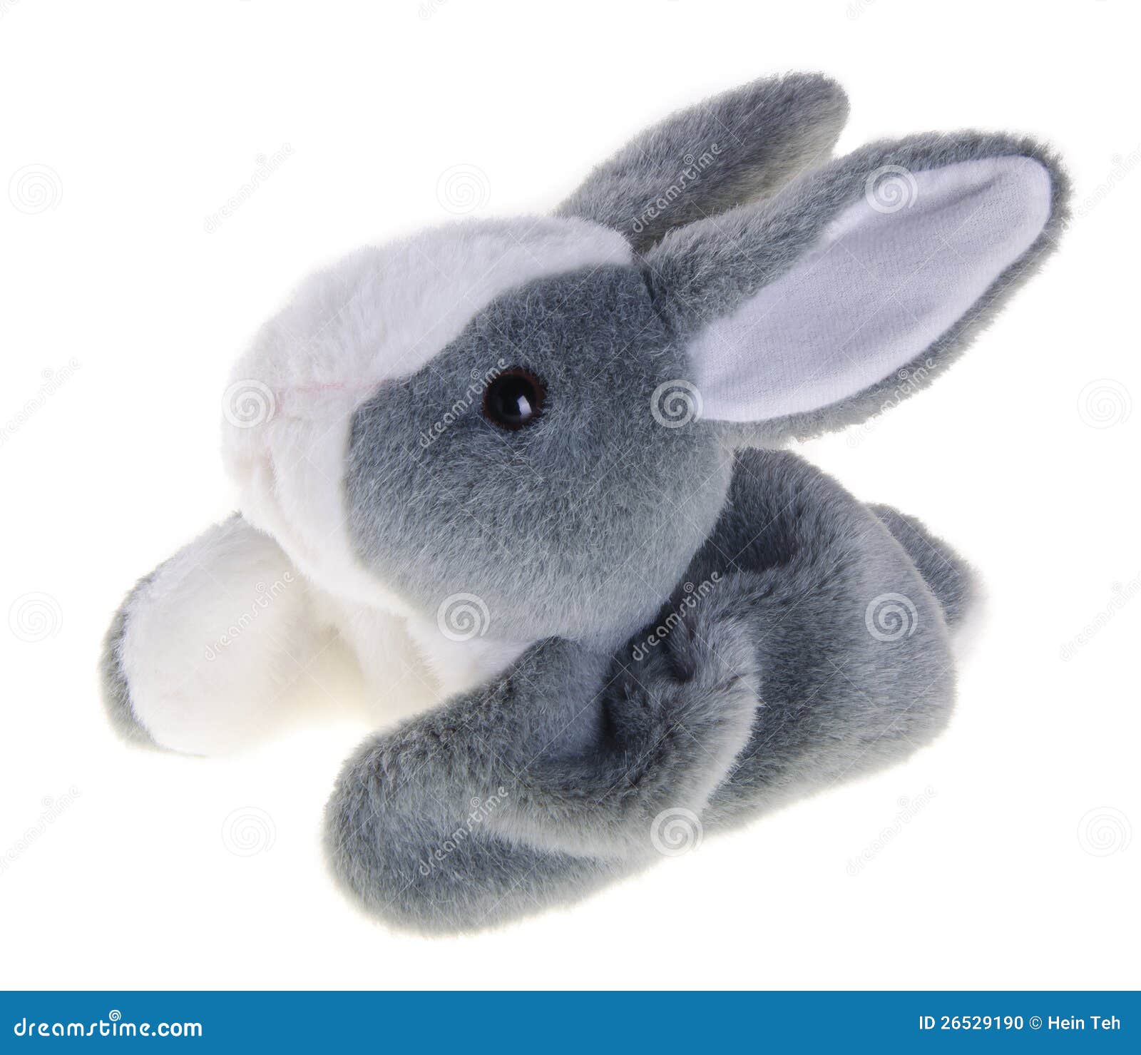 Baby Soft Toy. Cute Rabbit Soft Toy Stock Photo - Image of softness ...