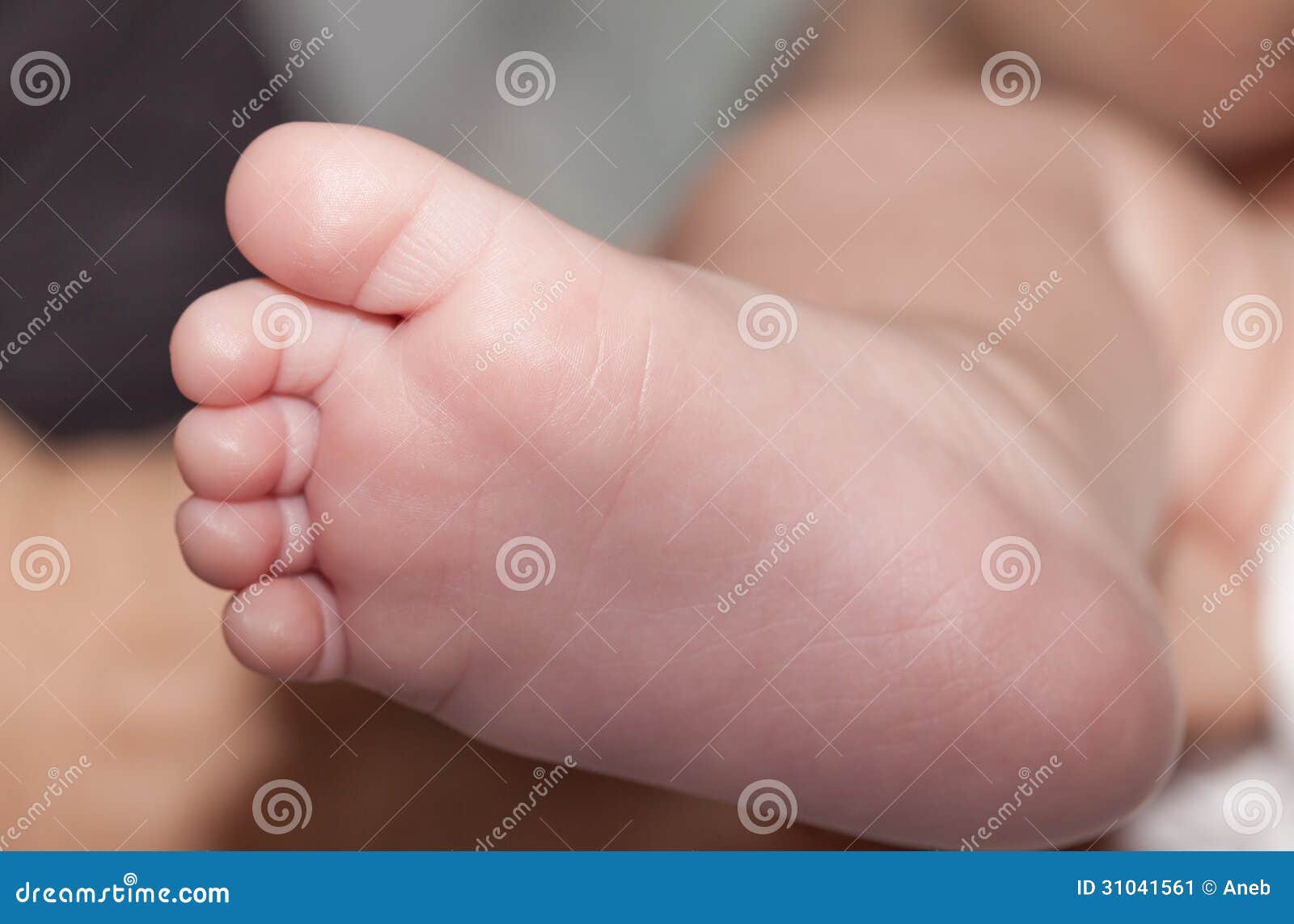 Baby stock image. Image of sweet, tenderness, child, legs - 31041561
