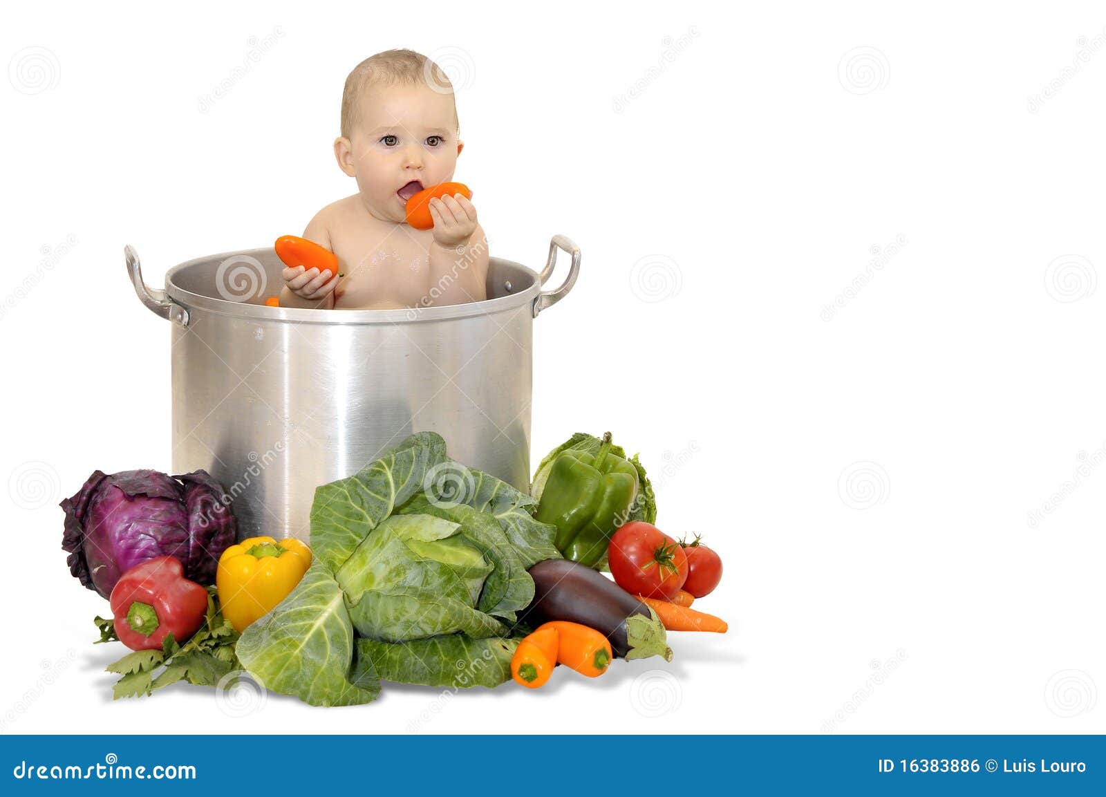 Baby soup stock photo. Image of cabbage, ingredients - 16383886